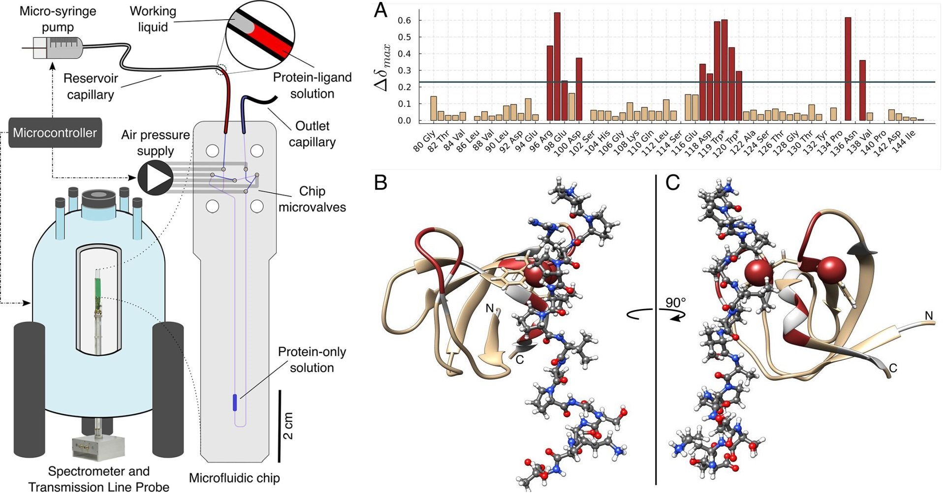 Automated microfluidic NMR for protein-ligand interaction analysis