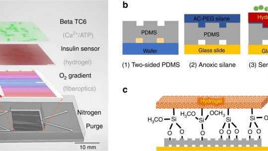 Microfluidics Fabrication Leader | Custom Microfluidics Fabrication