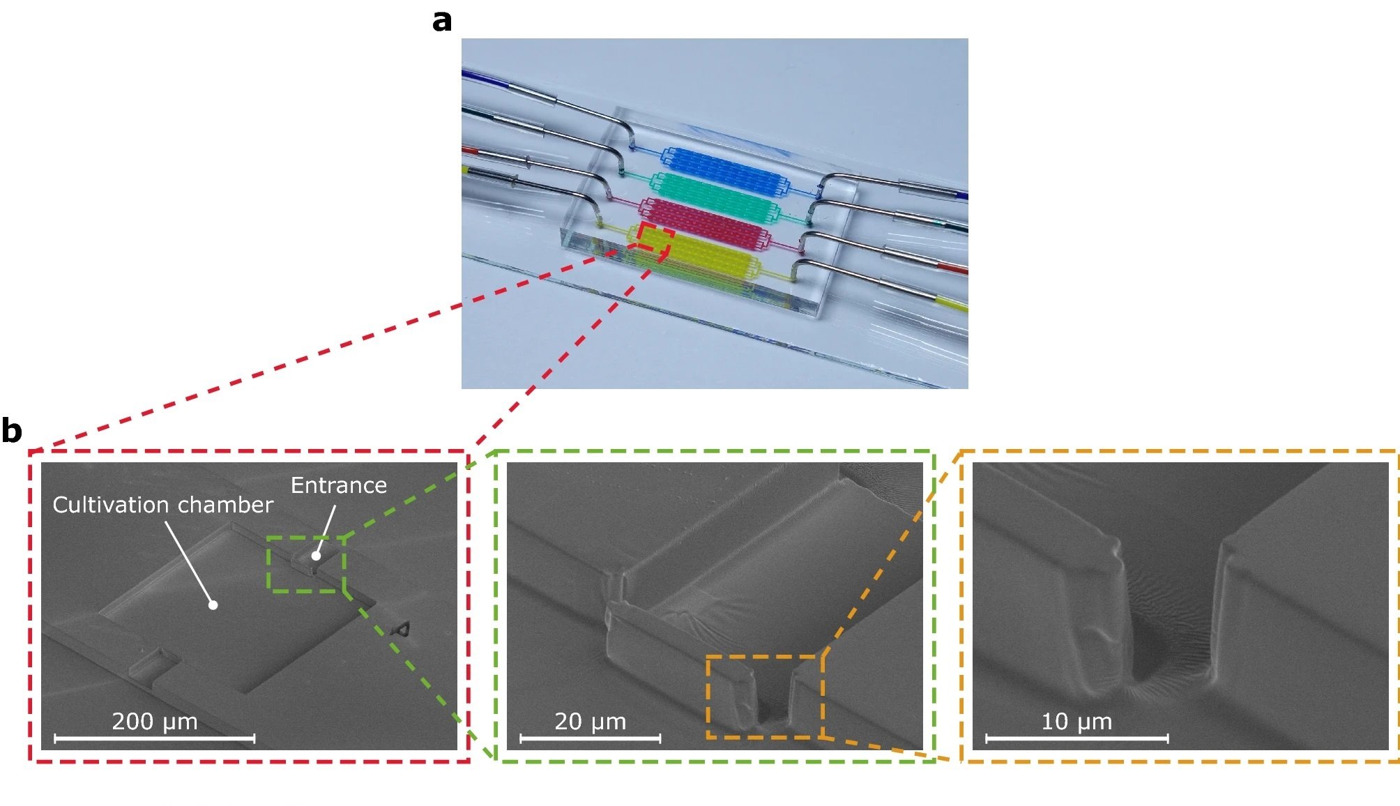 A Novel Cell Retention Concept For Microfluidic Single Cell Cultivation