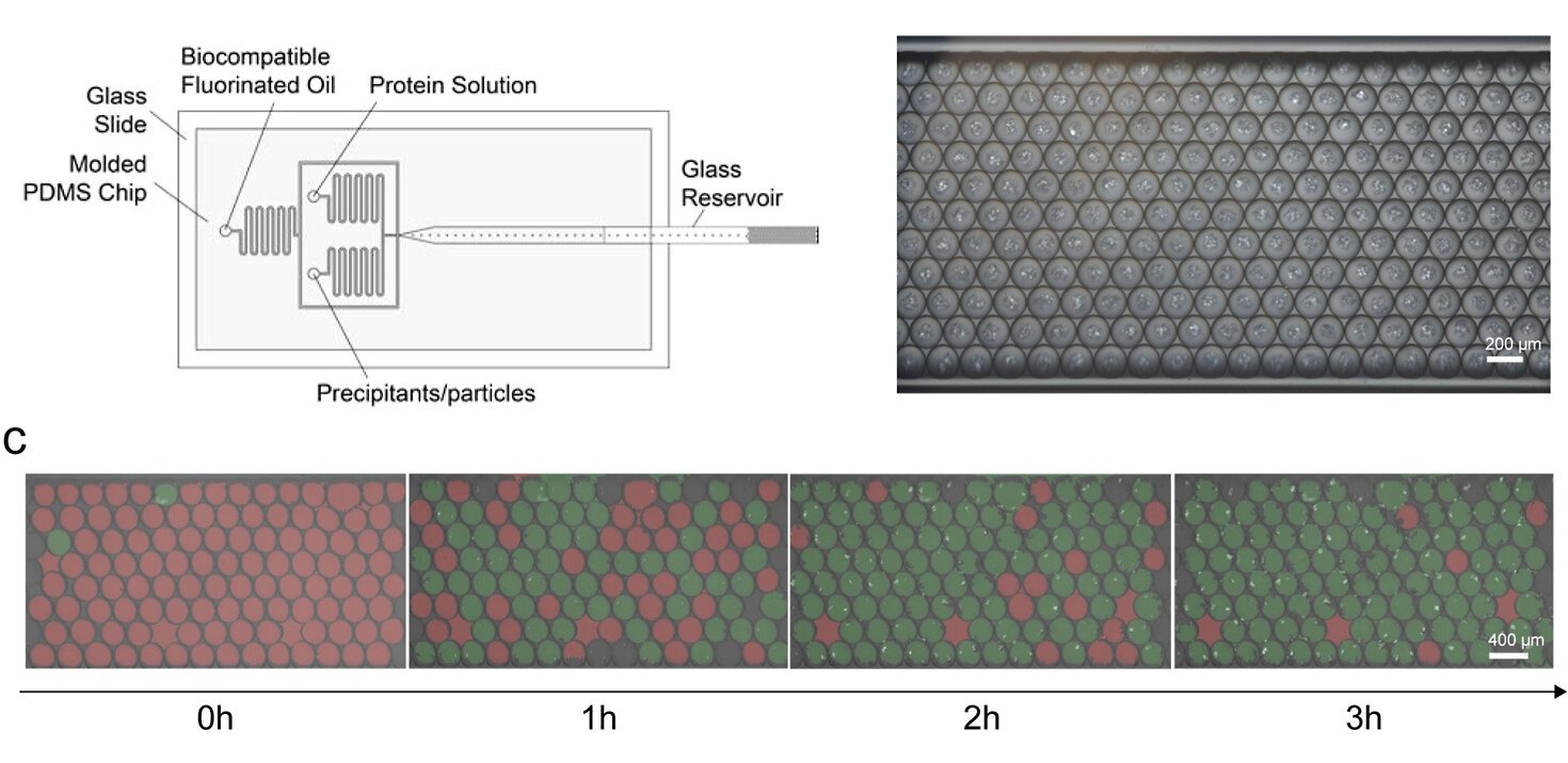 Small scale, big results: The advantages of microfabricated devices for ...