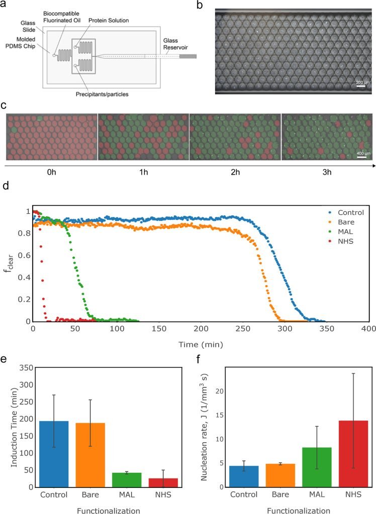 Small scale, big results: The advantages of microfabricated devices for ...