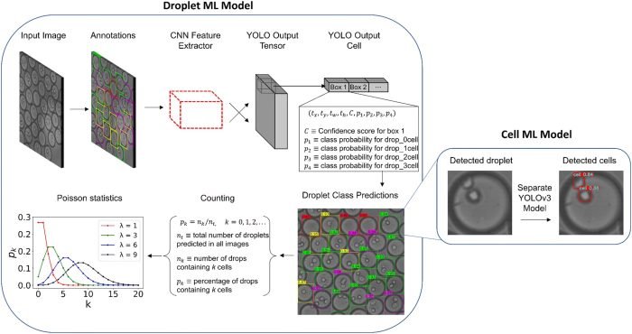 Streamlining cell encapsulation with AI and microfluidics