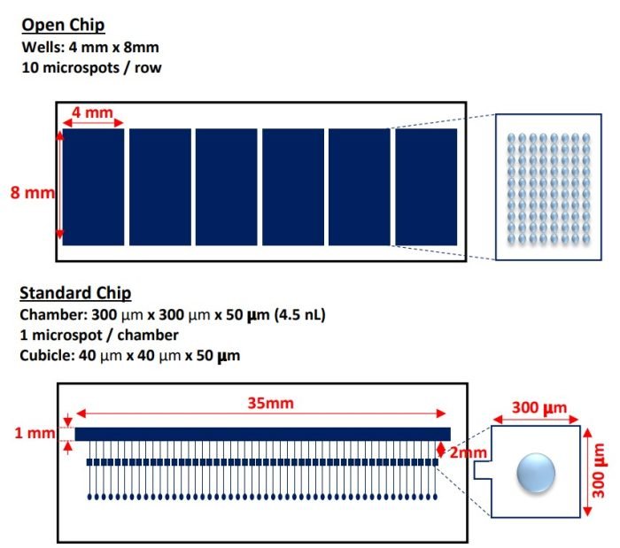 A Complete Lab-on-a-Chip Device for Single-Cell miRNA Detection