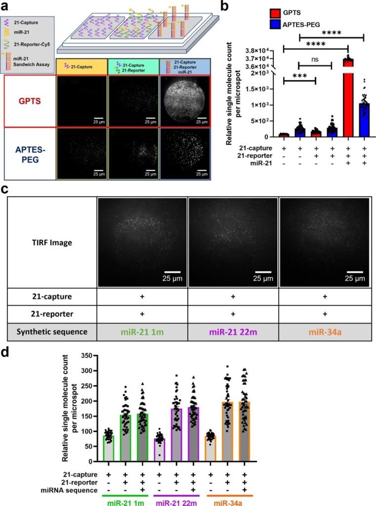 A Complete Lab-on-a-Chip Device for Single-Cell miRNA Detection
