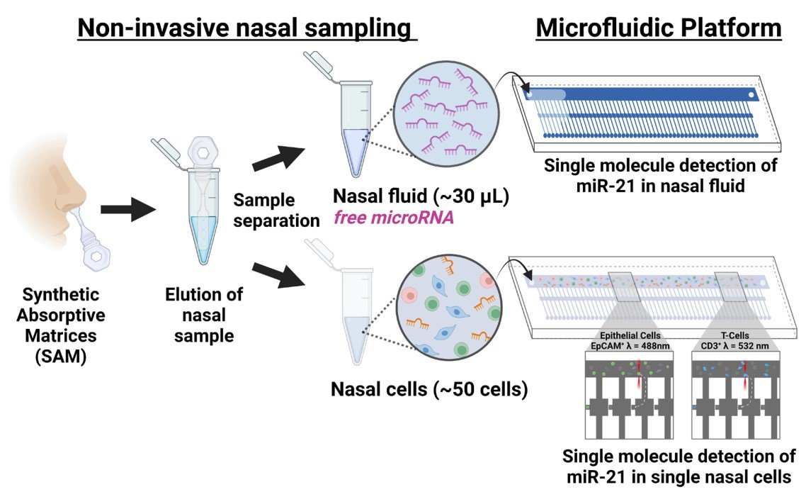 A Complete Lab On A Chip Device For Single Cell Mirna Detection
