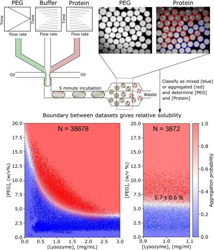 Protein Solubility Optimization with Microfluidics