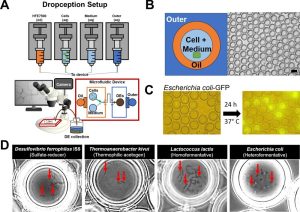 Cultivating Microbial Diversity with a Microfluidic Platform