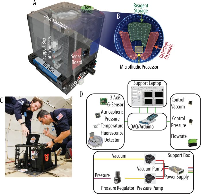 Microfluidic Analyzer for Space Exploration: Testing in Microgravity