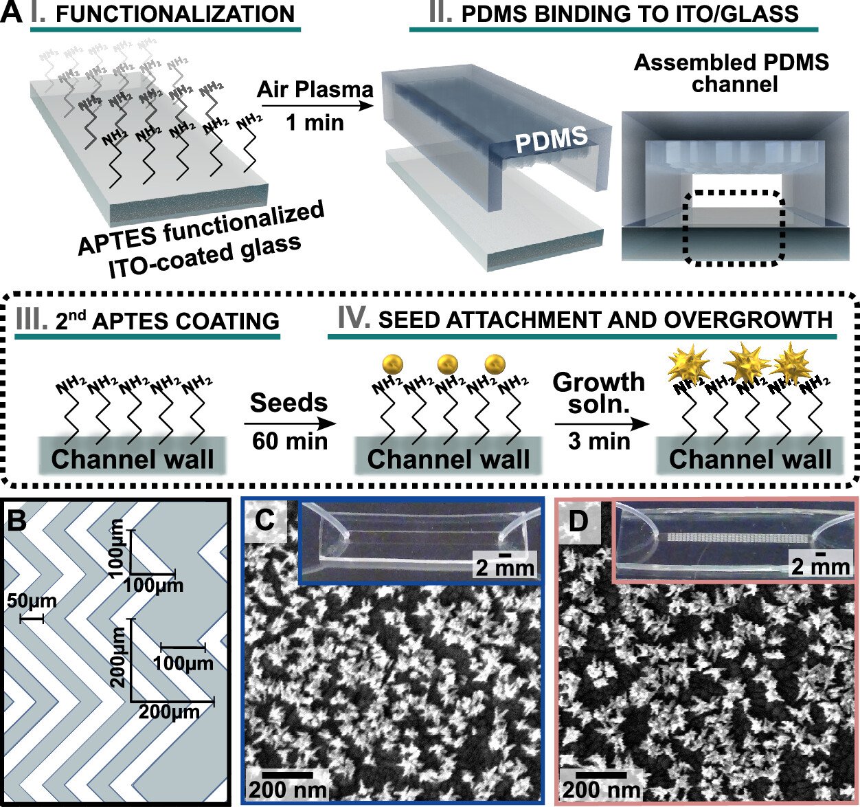 Anisotropic Gold Nanoparticle Growth in Microfluidic Reactors