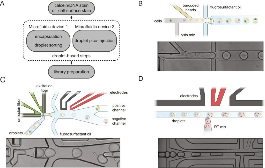Microfluidic Innovations for Single-cell RNA Analysis
