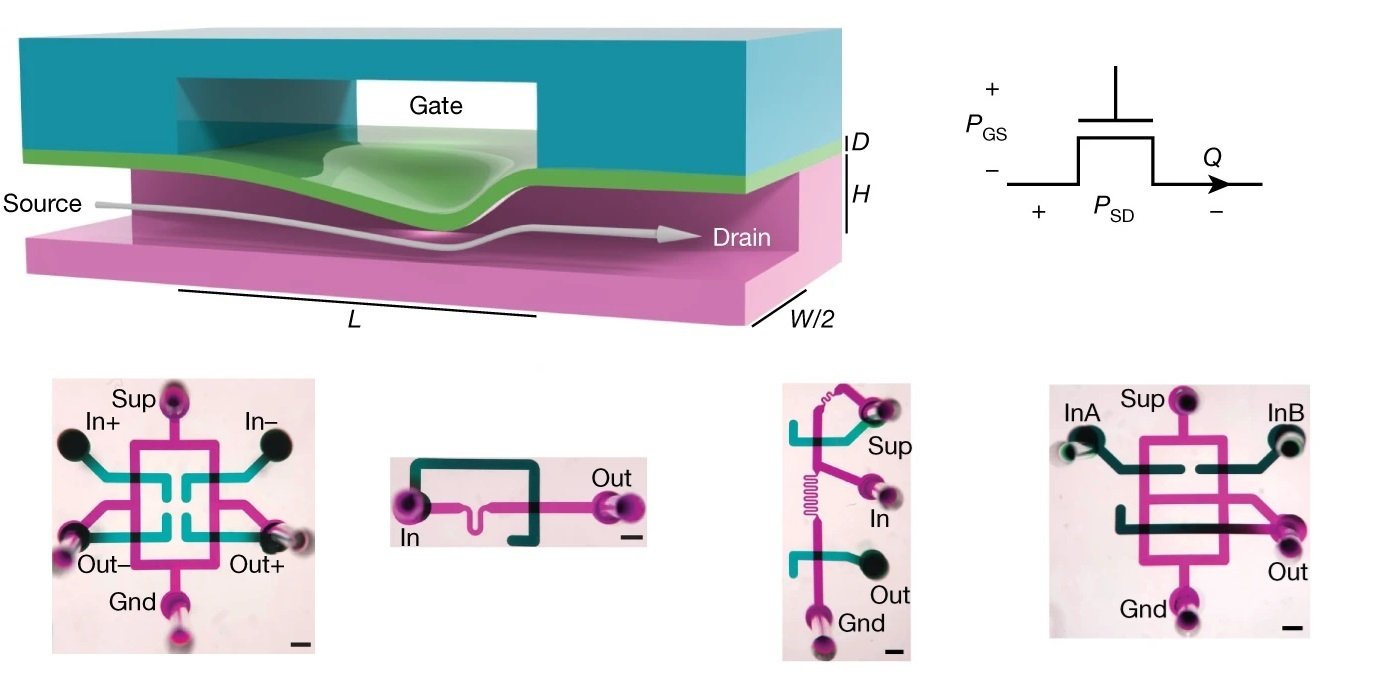 The Dawn of Microfluidic Transistors