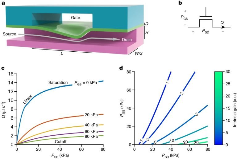 The Dawn of Microfluidic Transistors