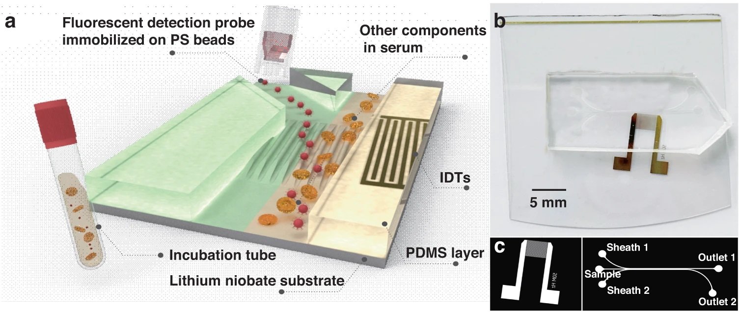 Microfluidic Chip for Cardiac Biomarker Detection