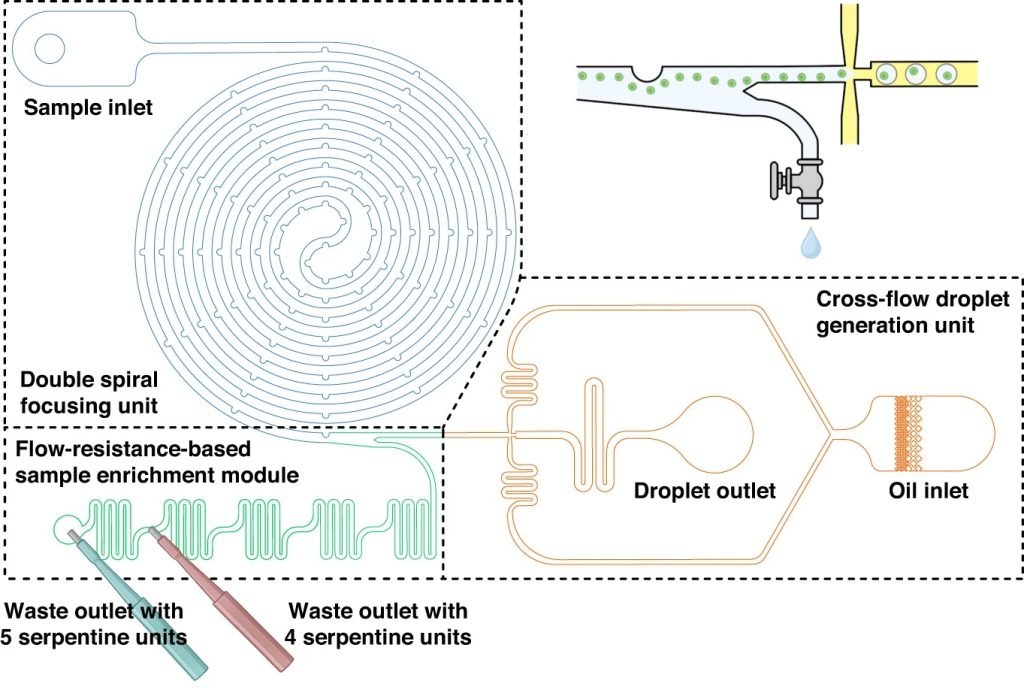 Beyond Poisson Statistics: Enhancing Microfluidic Single-Cell Encapsulation Beyond Poisson Statistics: Enhancing Microfluidic Single-Cell Encapsulation