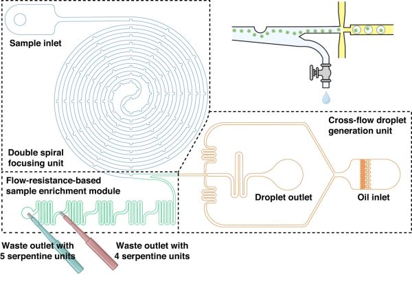 Beyond Poisson Statistics: Enhancing Microfluidic Single-Cell Encapsulation
