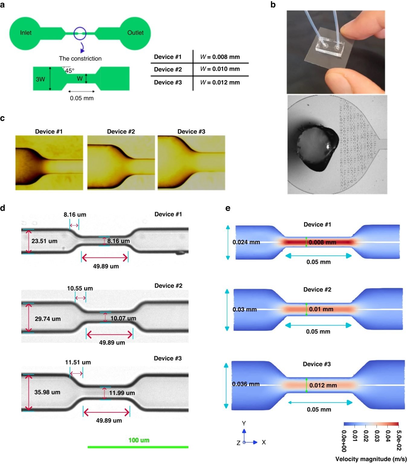 Exploring the Mechanics of Cancer Cell Metastasis Through Microfluidics