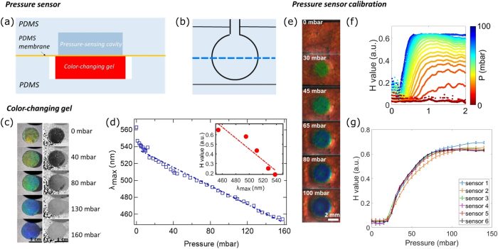 Color-Switching Hydrogel Pressure Senso
