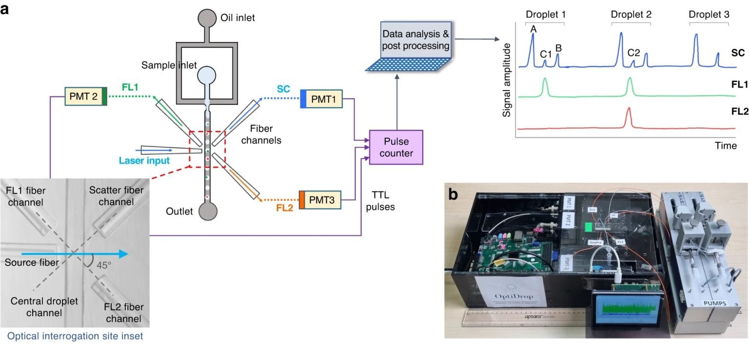 Precise Single-Cell Analysis through On-Chip Fiber Optics