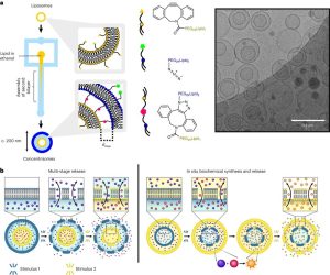 Engineering Complex Liposomes for Advanced Drug Delivery