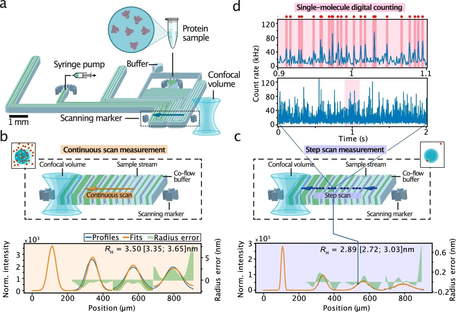 Microfluidic Diffusional Sizing of Single-Molecule Proteins