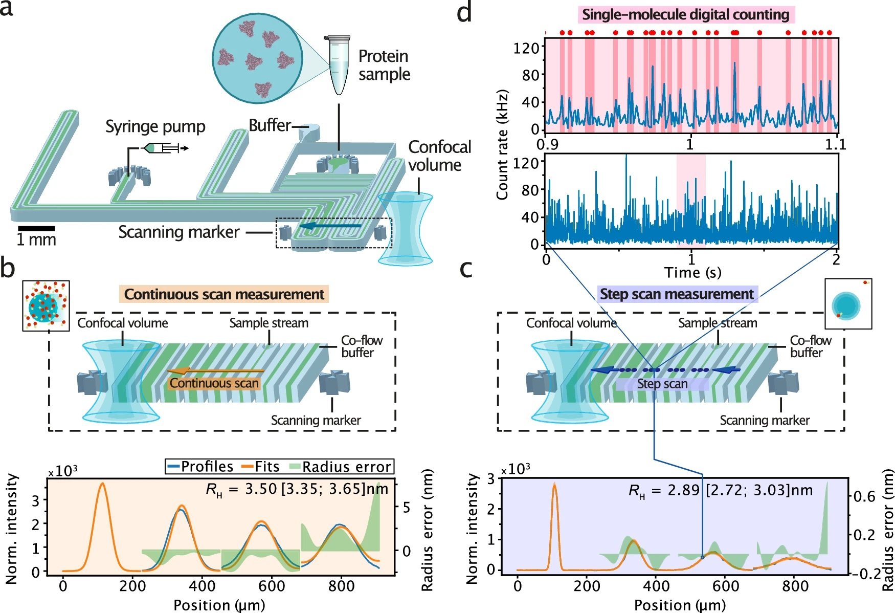Microfluidic Diffusional Sizing of Single-Molecule Proteins