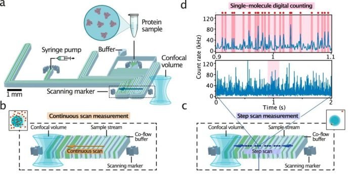 Microfluidic Diffusional Sizing Of Single Molecule Proteins