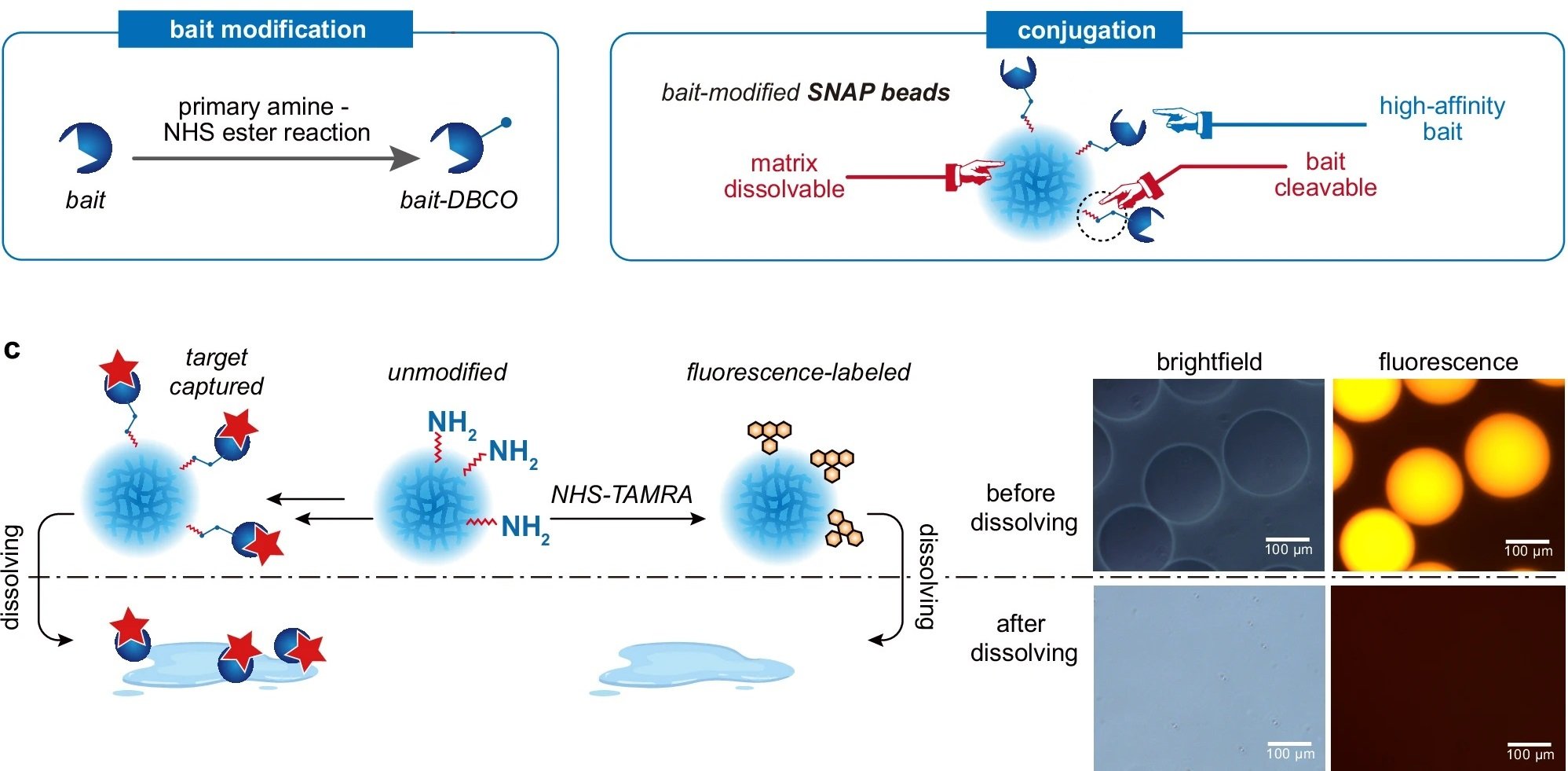 Microfluidically Engineered Hydrogel Beads for Protein Characterization