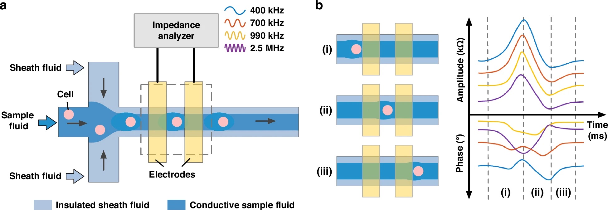 Development Of A Microfluidic Impedance Flow Cytometer