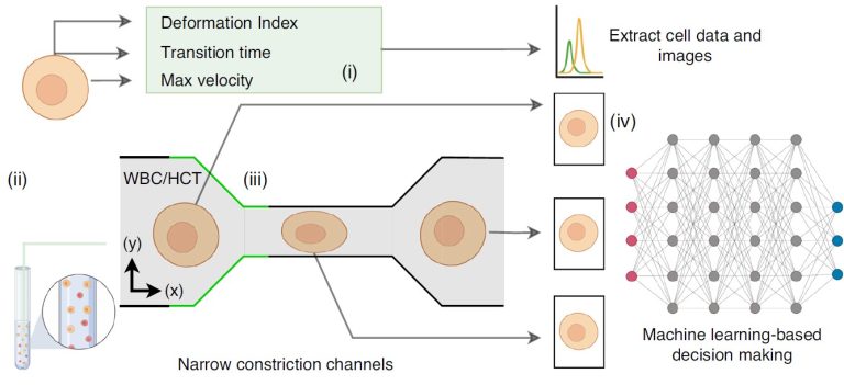 Cell Classification via Mechanical Traits Within Microfluidic Systems