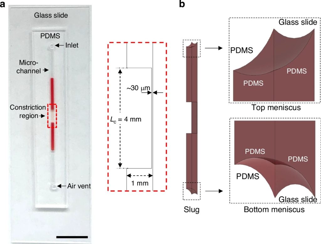 AI-Enabled Microfluidic Device for Rapid CD4+ T Cell Counting