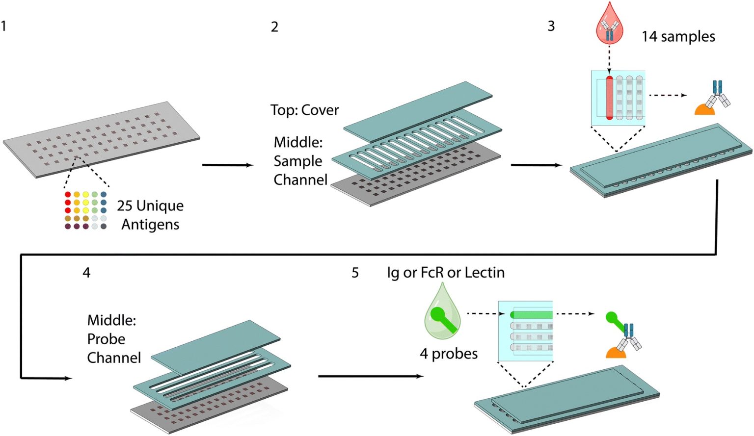 Microfluidic Platform for Antibody Fc Biomarker Discovery