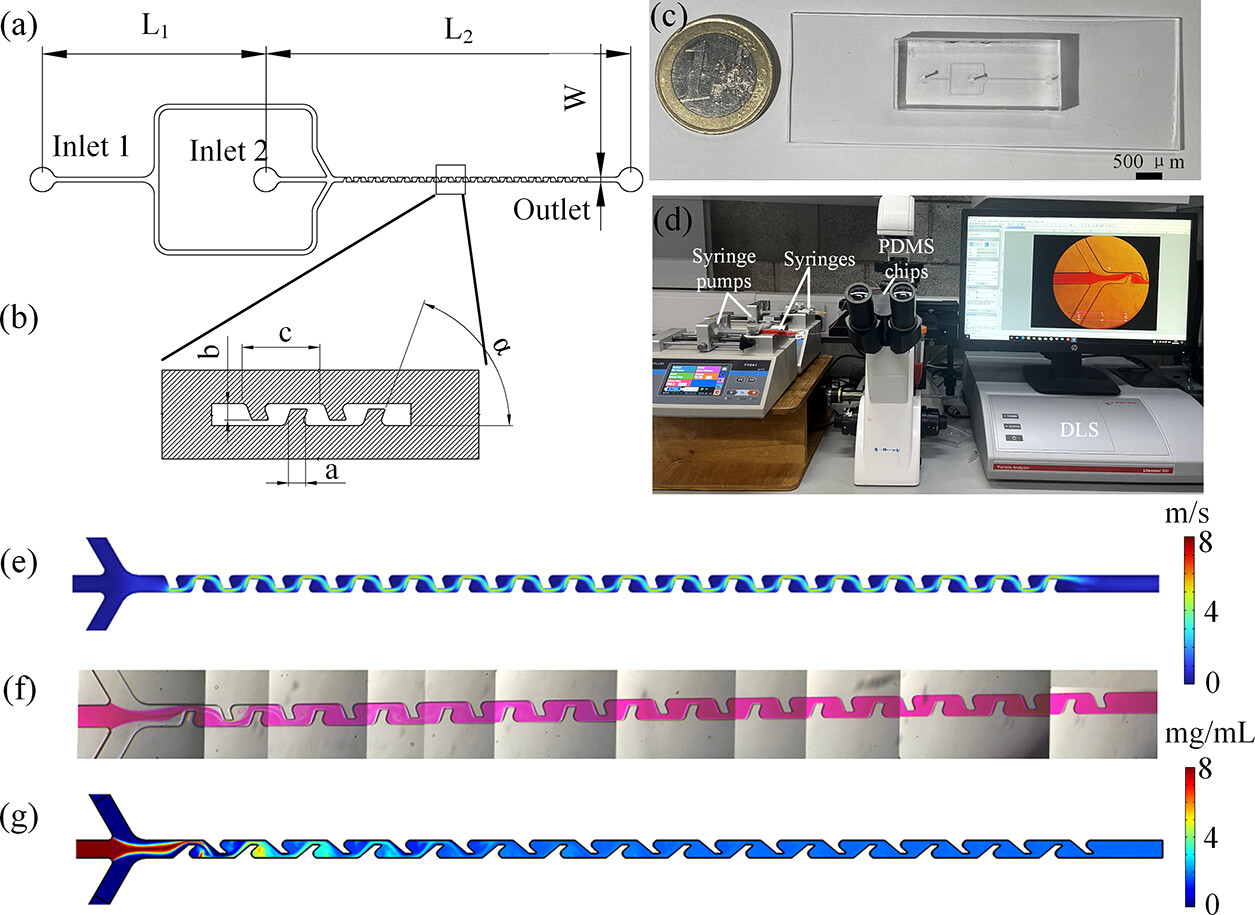 Enhancing mRNA-LNP Production with Optimized Microfluidic Baffles