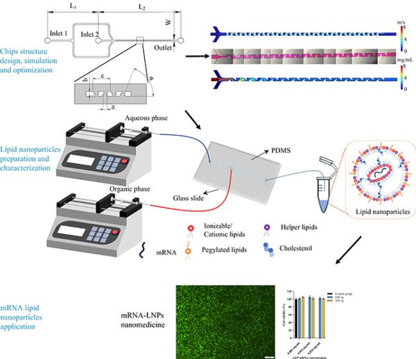 Enhancing mRNA-LNP Production with Optimized Microfluidic Baffles