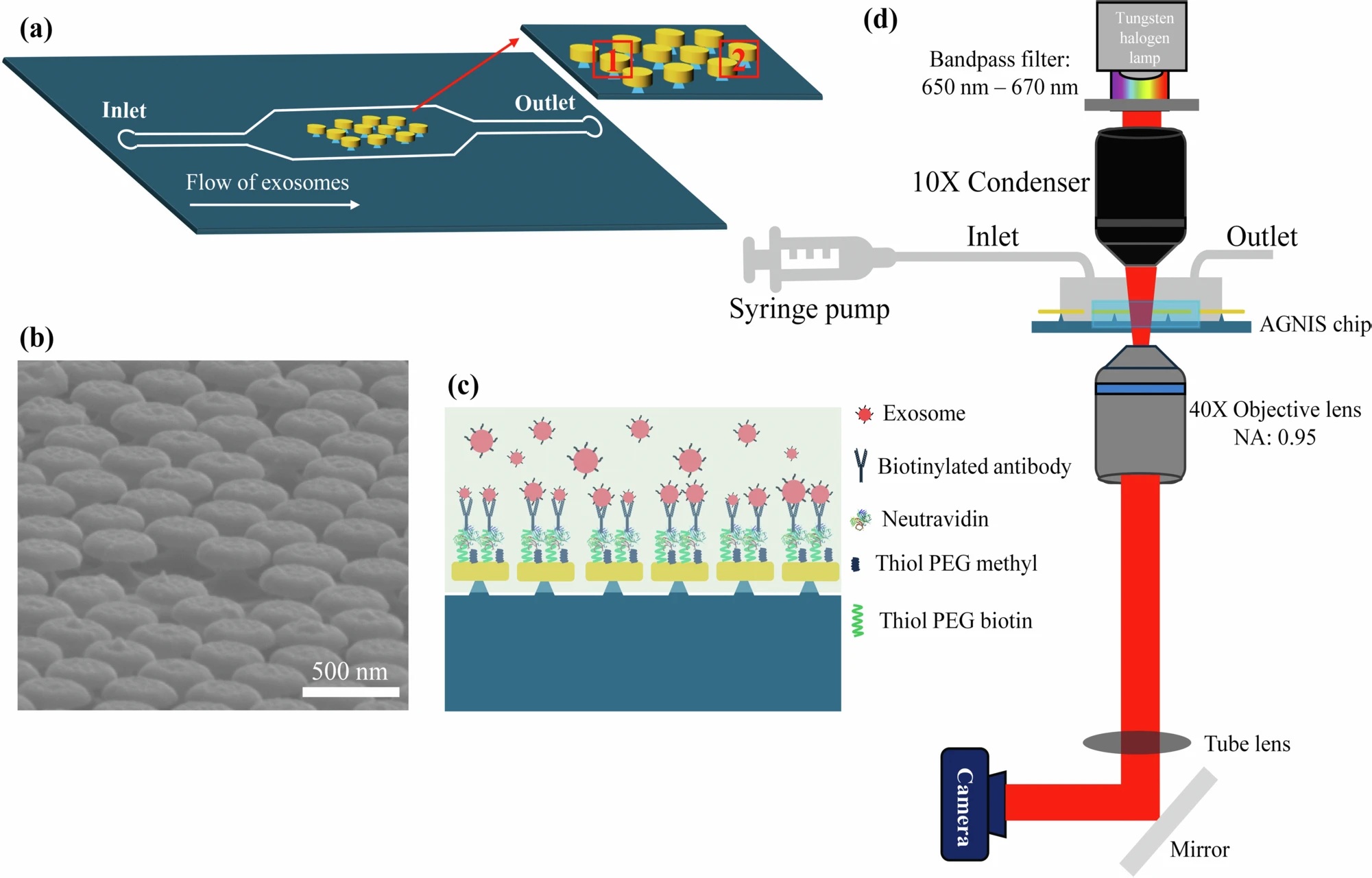 Microfluidic nano-plasmonic imaging for extracellular vesicles