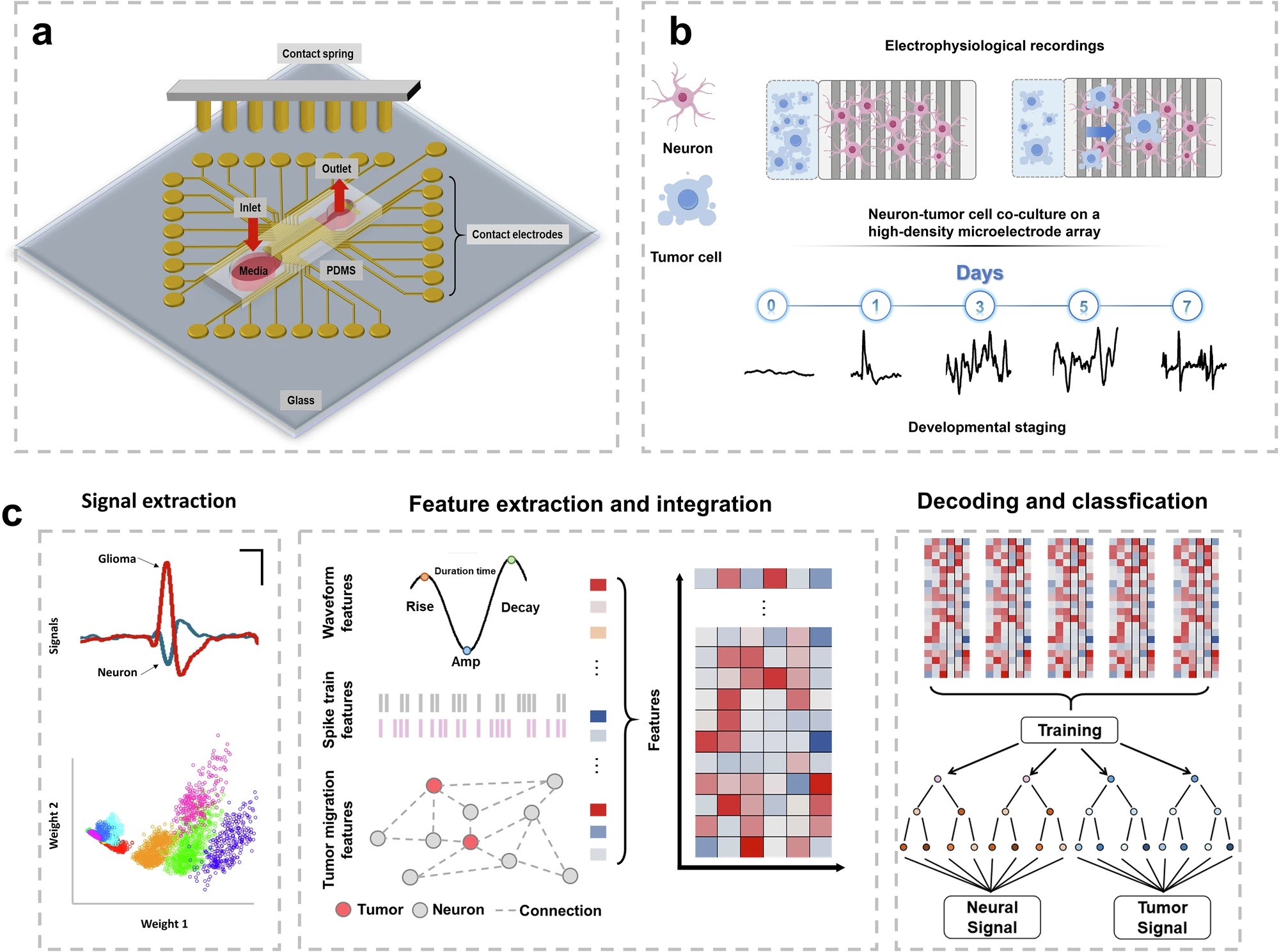 Machine Learning Meets Microfluidics to Decode Tumor–Neuron Electrical ...