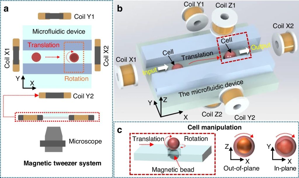 Automated Microinjection of Zebrafish Embryos Using Microfluidics